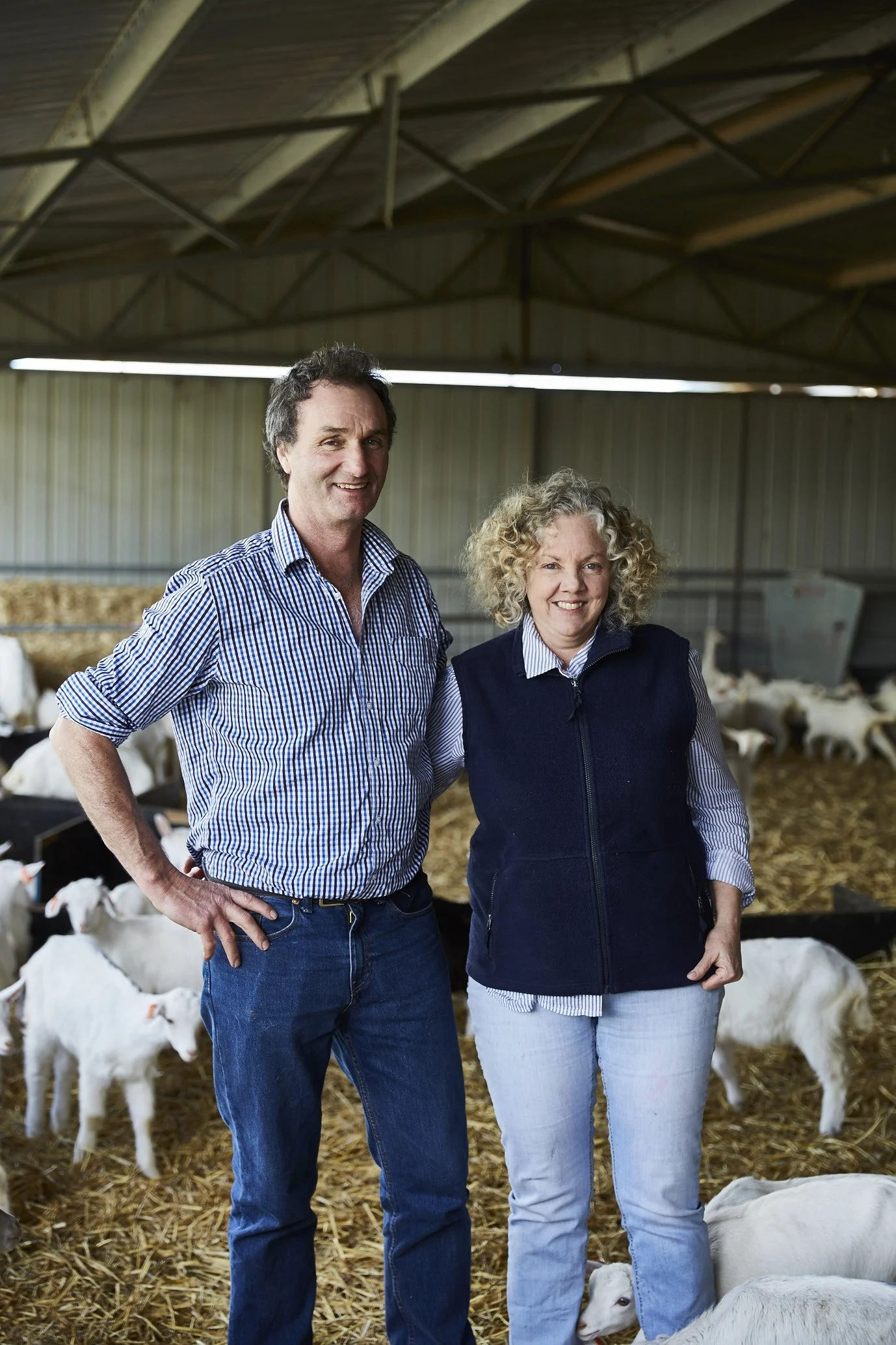 Meredith Dairy — Central Highlands Growers & Producers Hub