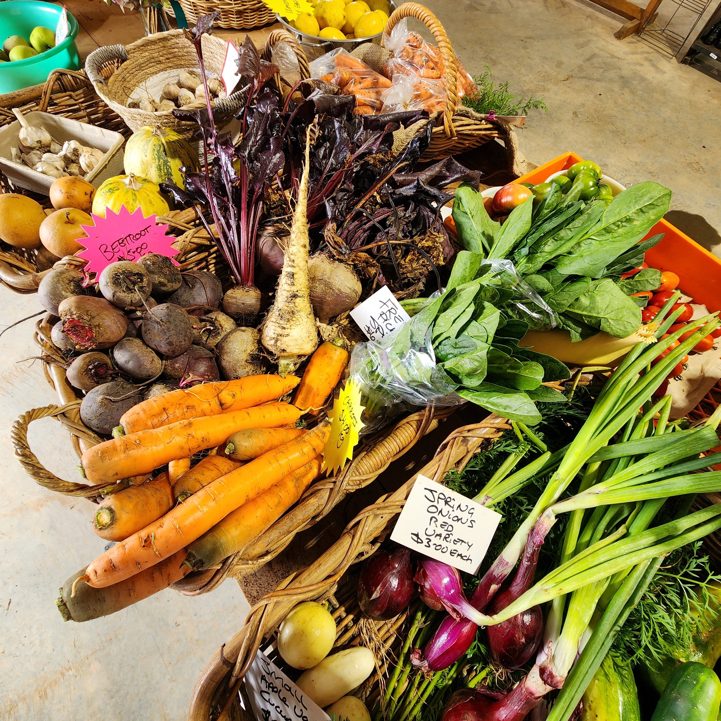 Interactive Map - Artisan Producers of Central Highlands — Central ...