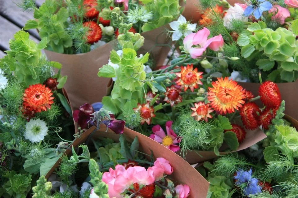 Audrey's Flowers — Central Highlands Growers & Producers Hub