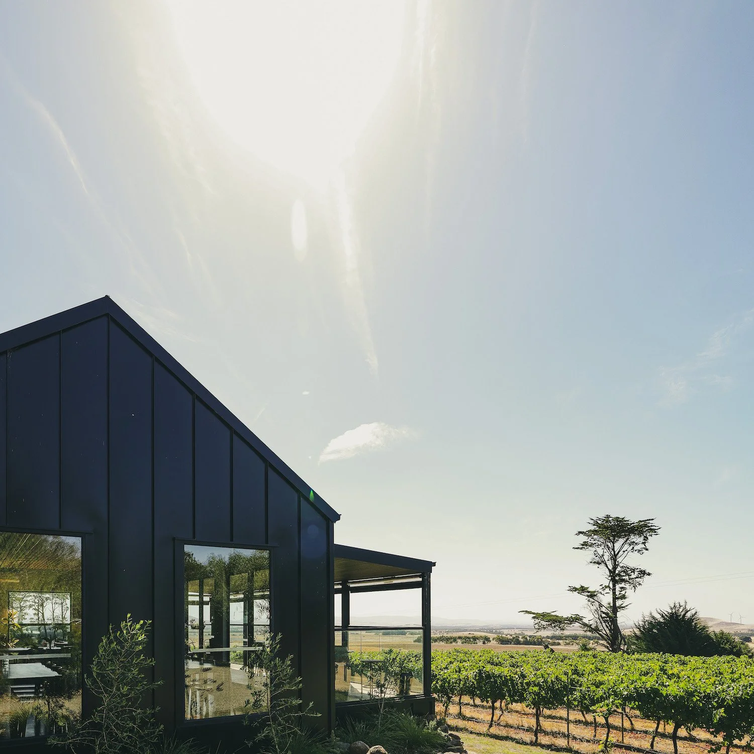 Wayward Winery — Central Highlands Growers & Producers Hub