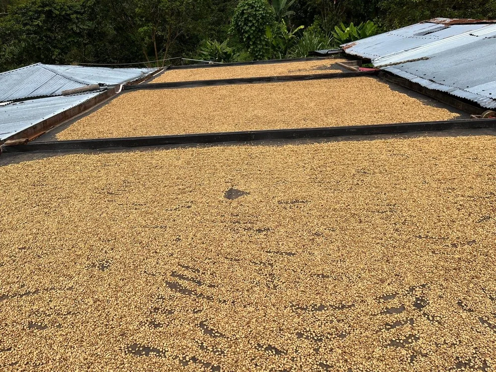 Artisan coffee online — Coopers Coffee