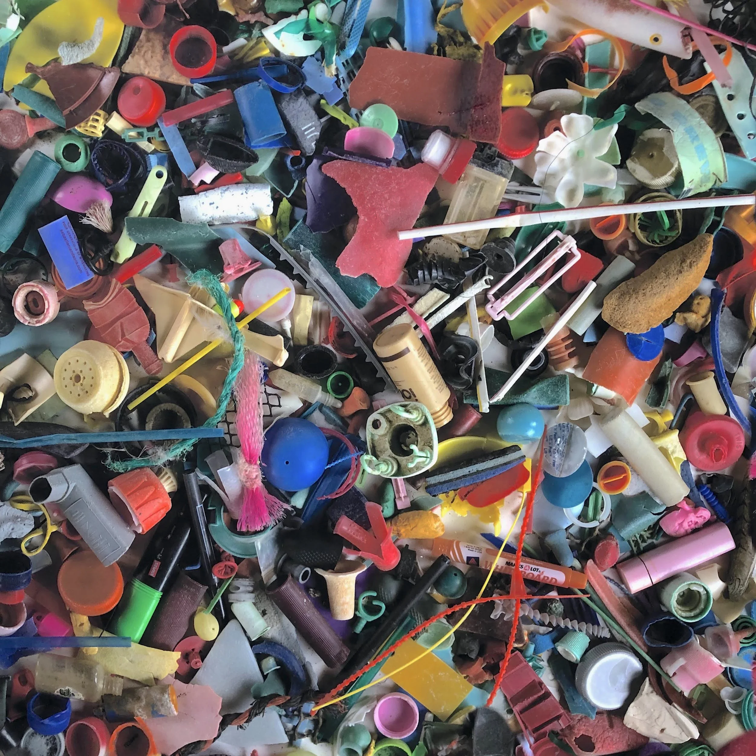 Judith Selby Lang and Richard Lang at The Guardhouse — FOR-SITE