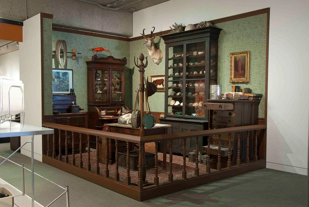 The Marvelous Museum: A Mark Dion Project — FOR-SITE