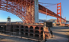 Black Gold: Stories Untold — FOR-SITE