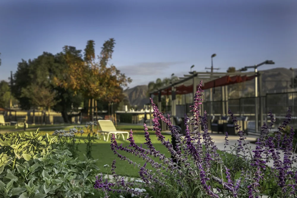 Daily Rates & Fees — Glen Eden Sun Club