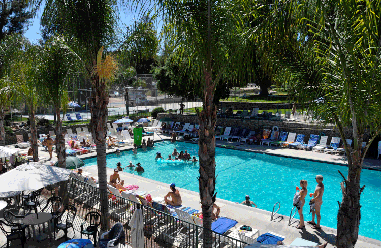 Activities — Glen Eden Sun Club