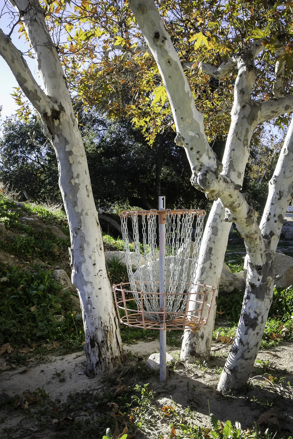 Outdoor Recreation — Glen Eden Sun Club