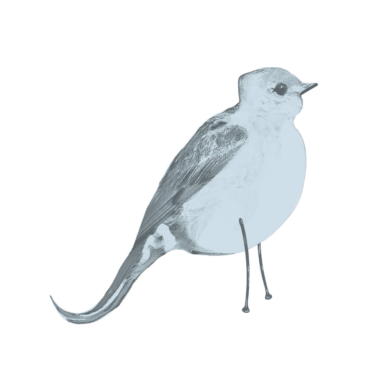 Bluebird Restaurant & Bar