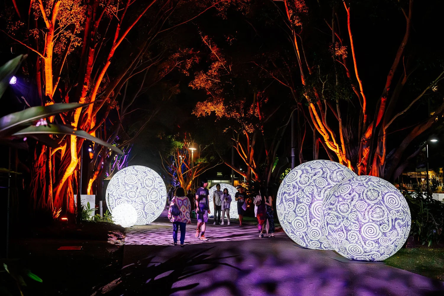 Shine On Gimuy Festival — Shine On Productions