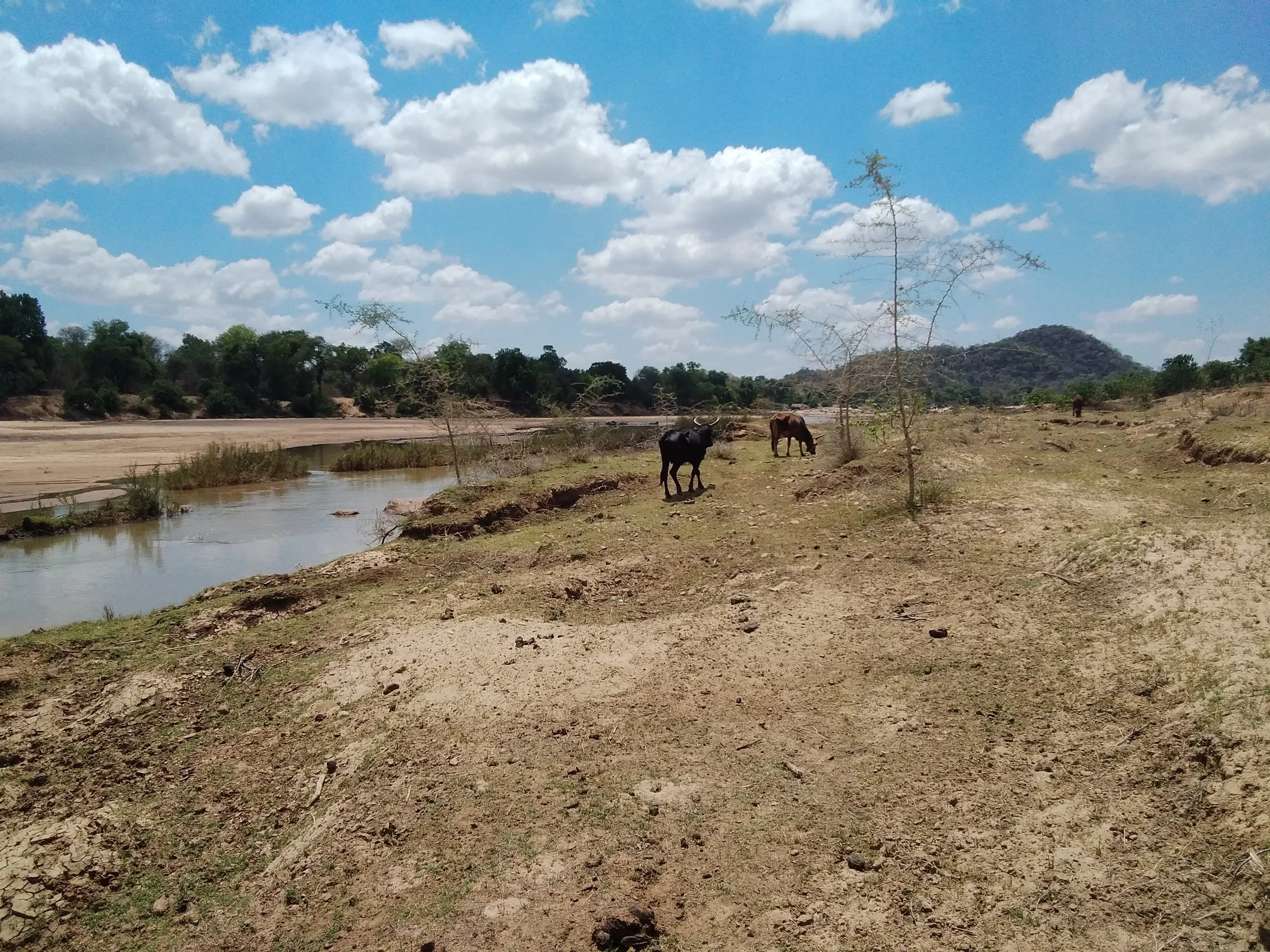 Global River Protection Coalition