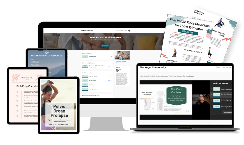 Pelvic Floor Birth Prep Course — Mount Si Physical Therapy