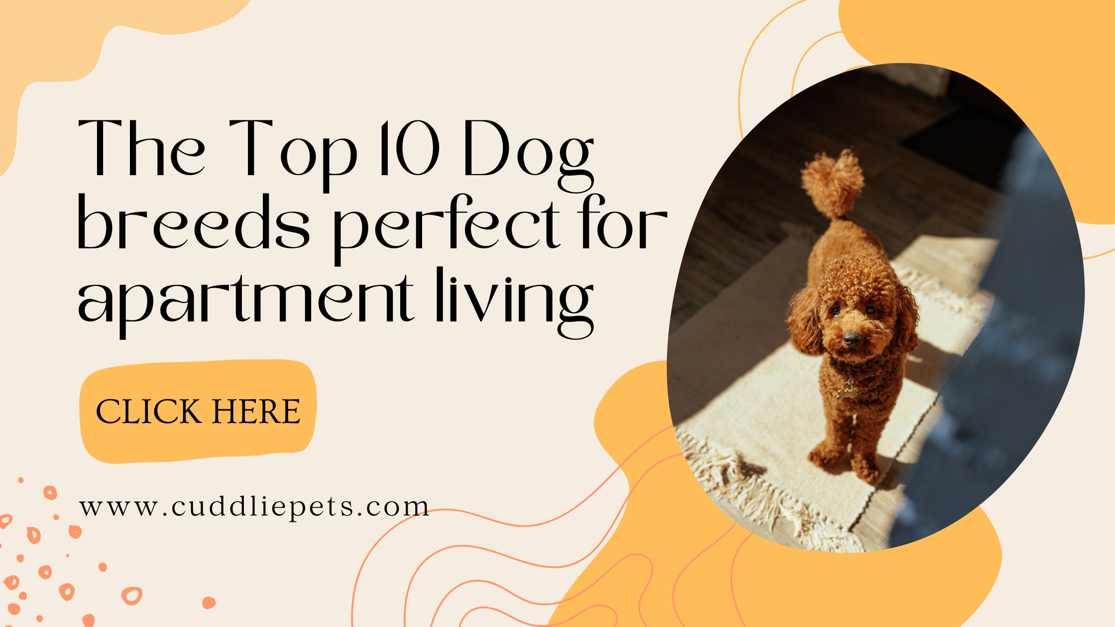 Cuddlie Blog — Cuddlie Pets