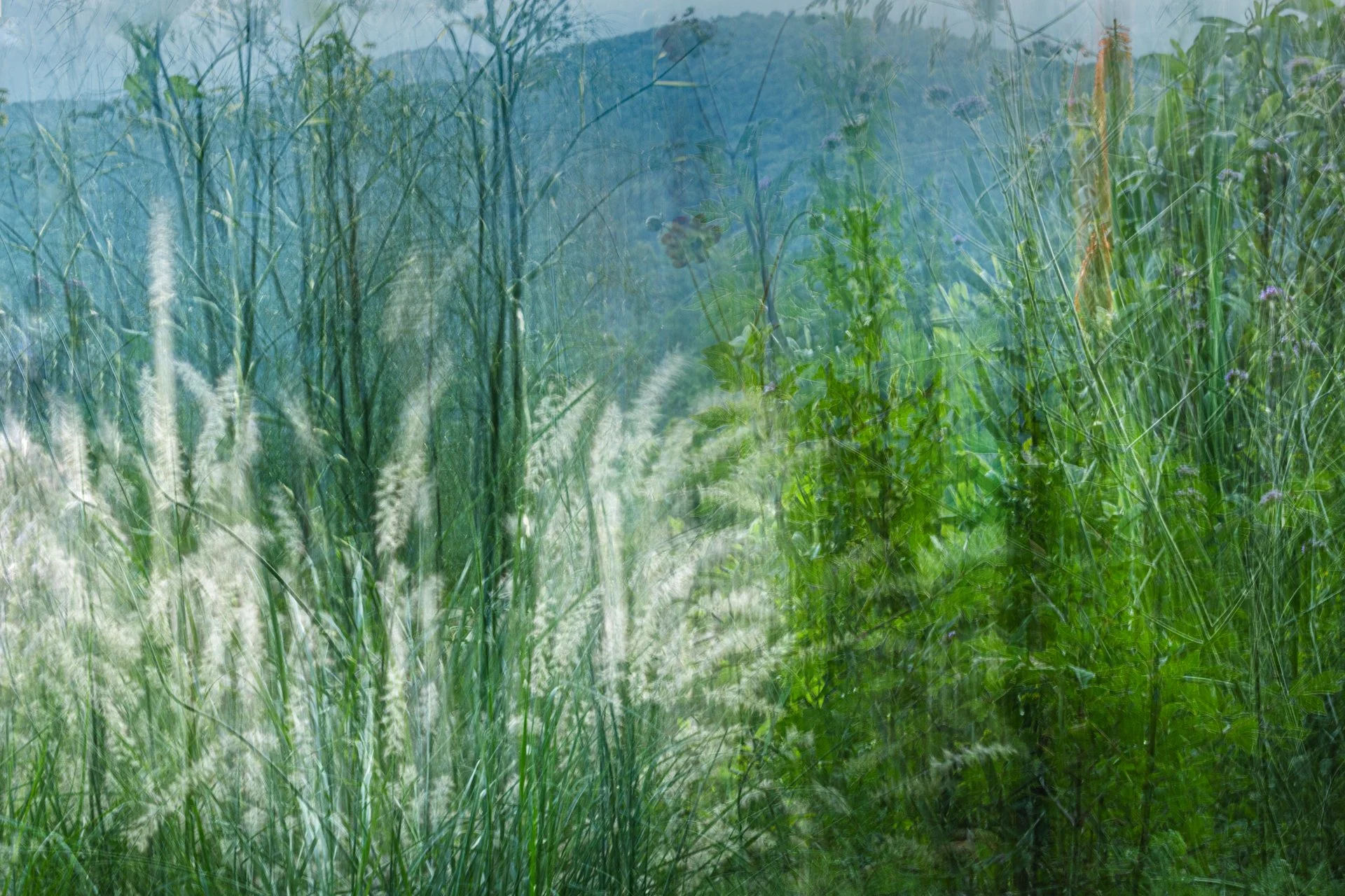 figTart - Nature Photography and Seasonal Stories by Louise Sayers