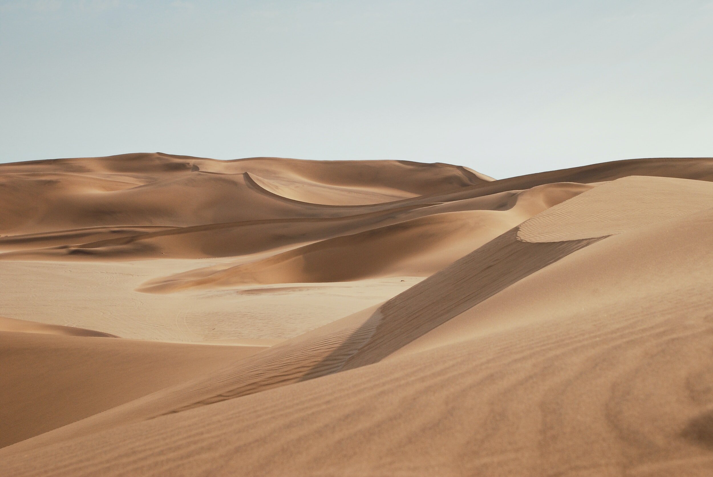 Navigating the Barren Lands of Therapy Deserts: Expanding Mental Health ...