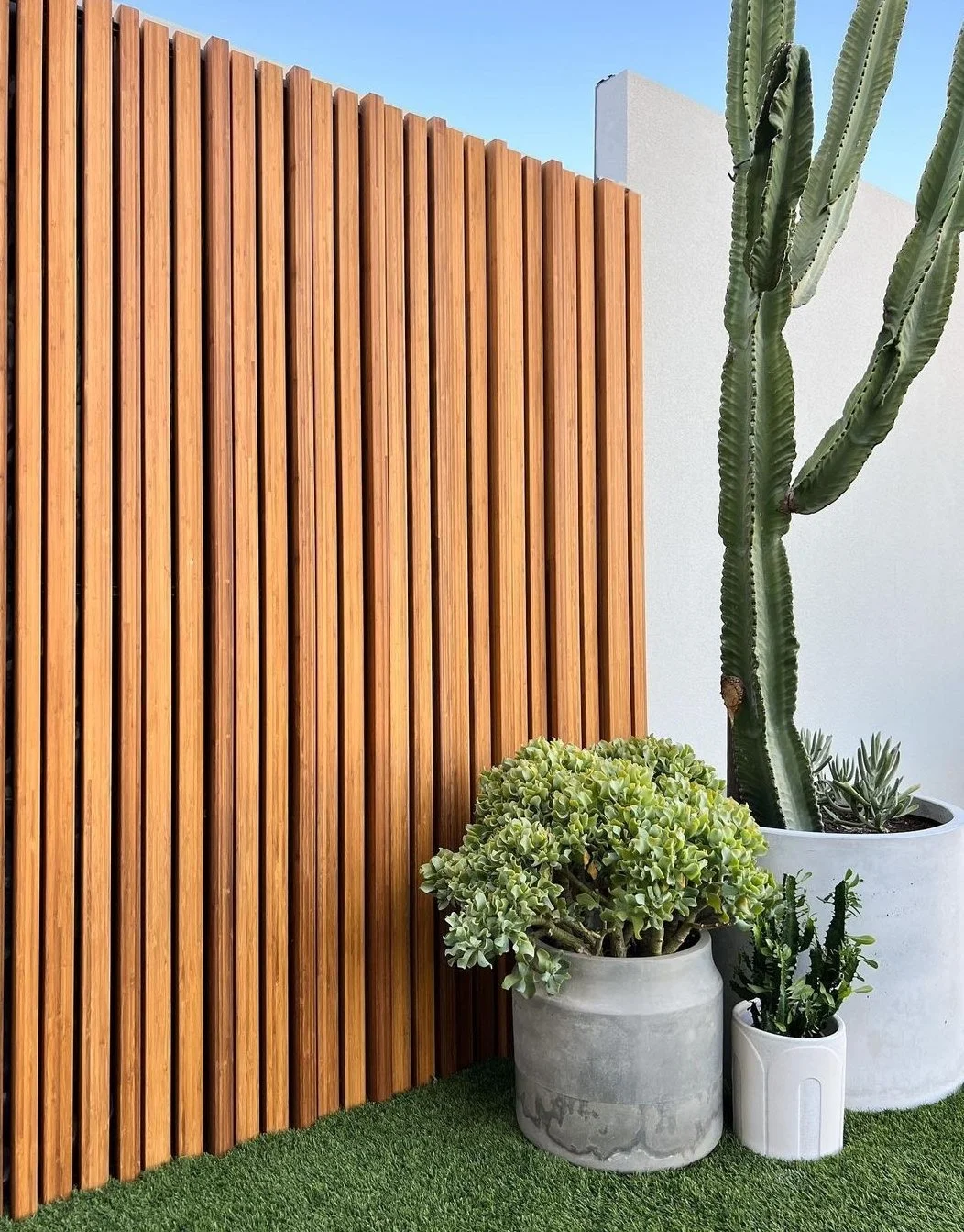 Screening — Aspire Bamboo