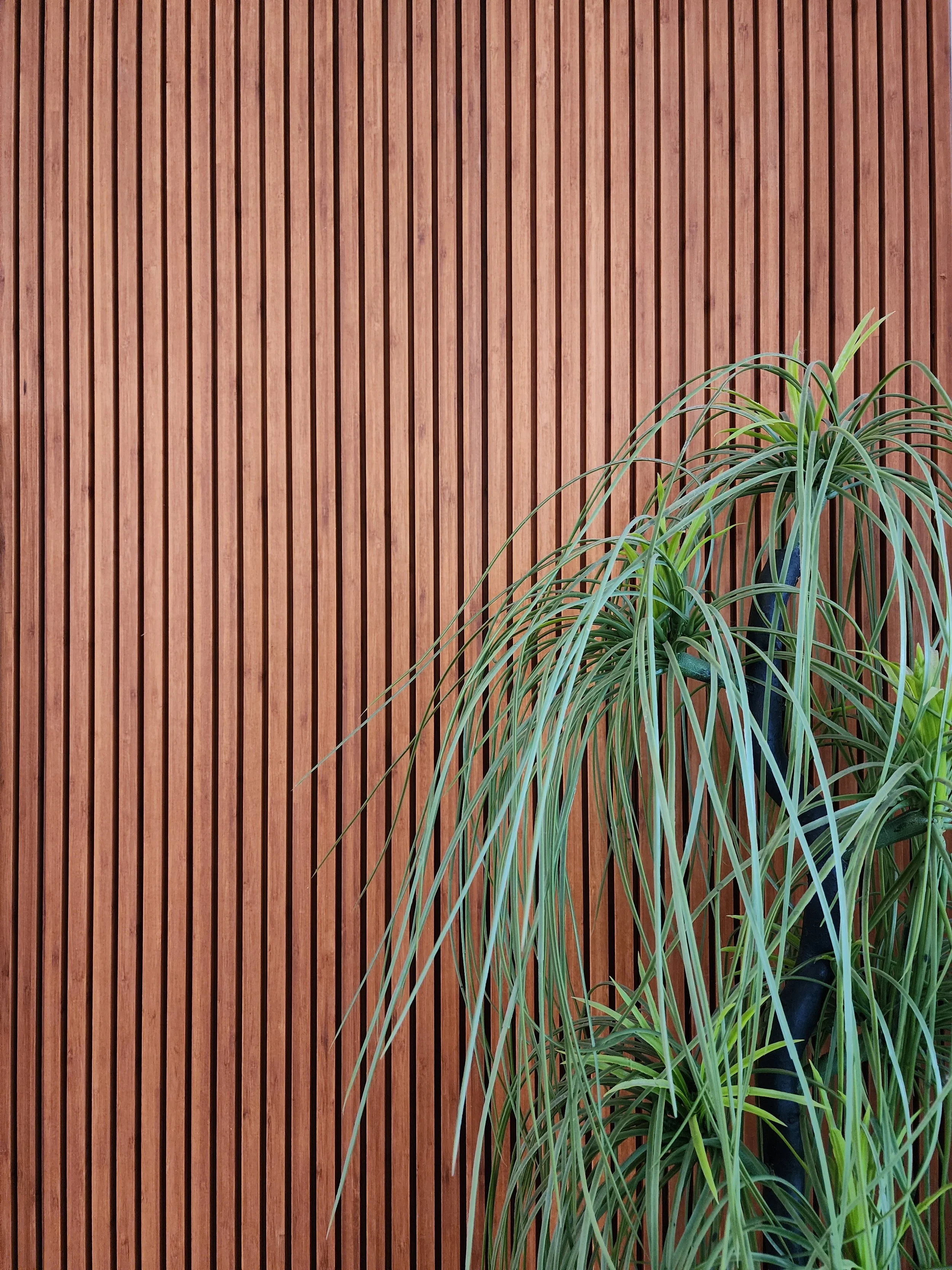 Cladding — Aspire Bamboo