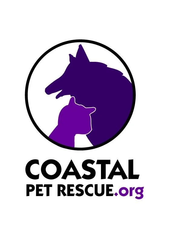 Work with a rescue — Chatham 90