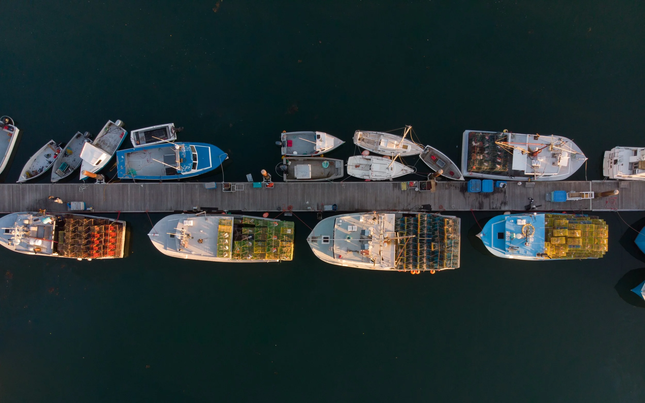 Kaitlyn Pendleton Photography