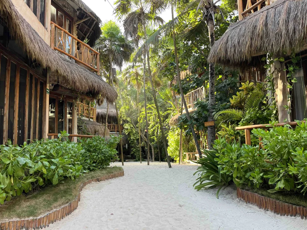 Retreat in Tulum, Mexico Fall 2024 — The Lotus Room