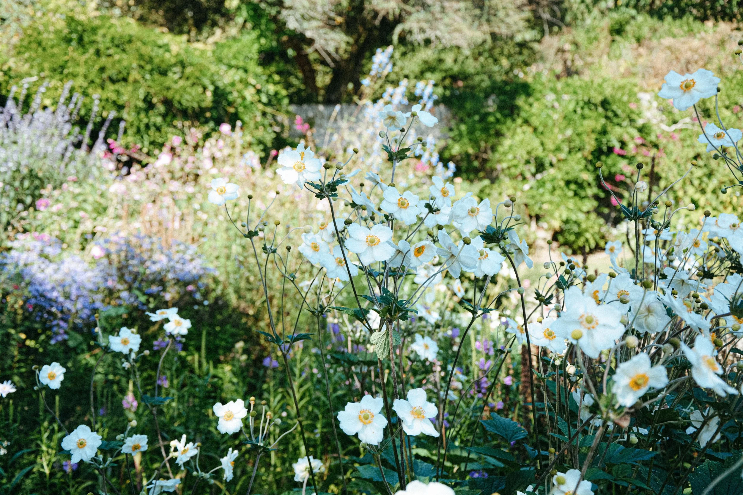 South Devon Wedding Photographer | Cornwall & Devon | Daisy Davidson