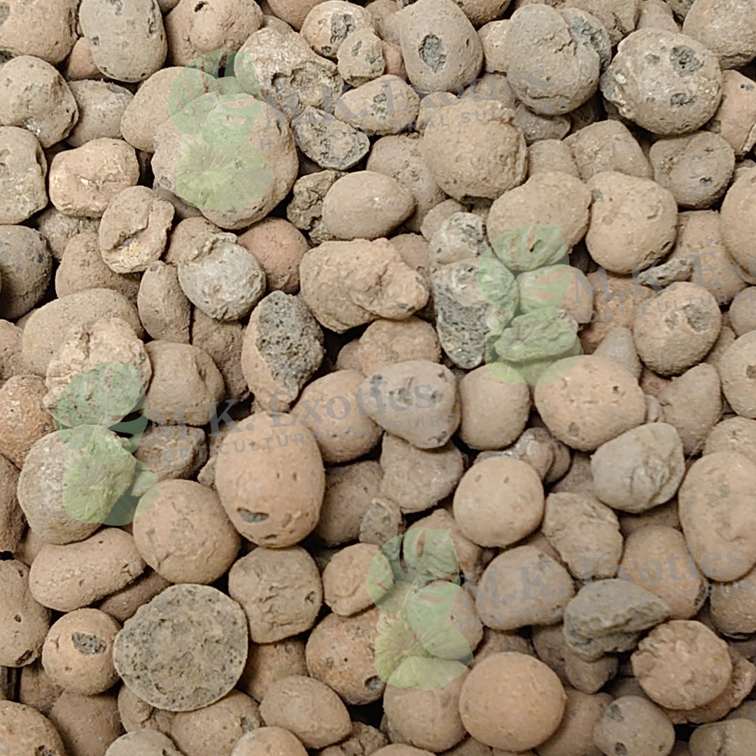 Shop — M K Exotics Horticultural Supplies