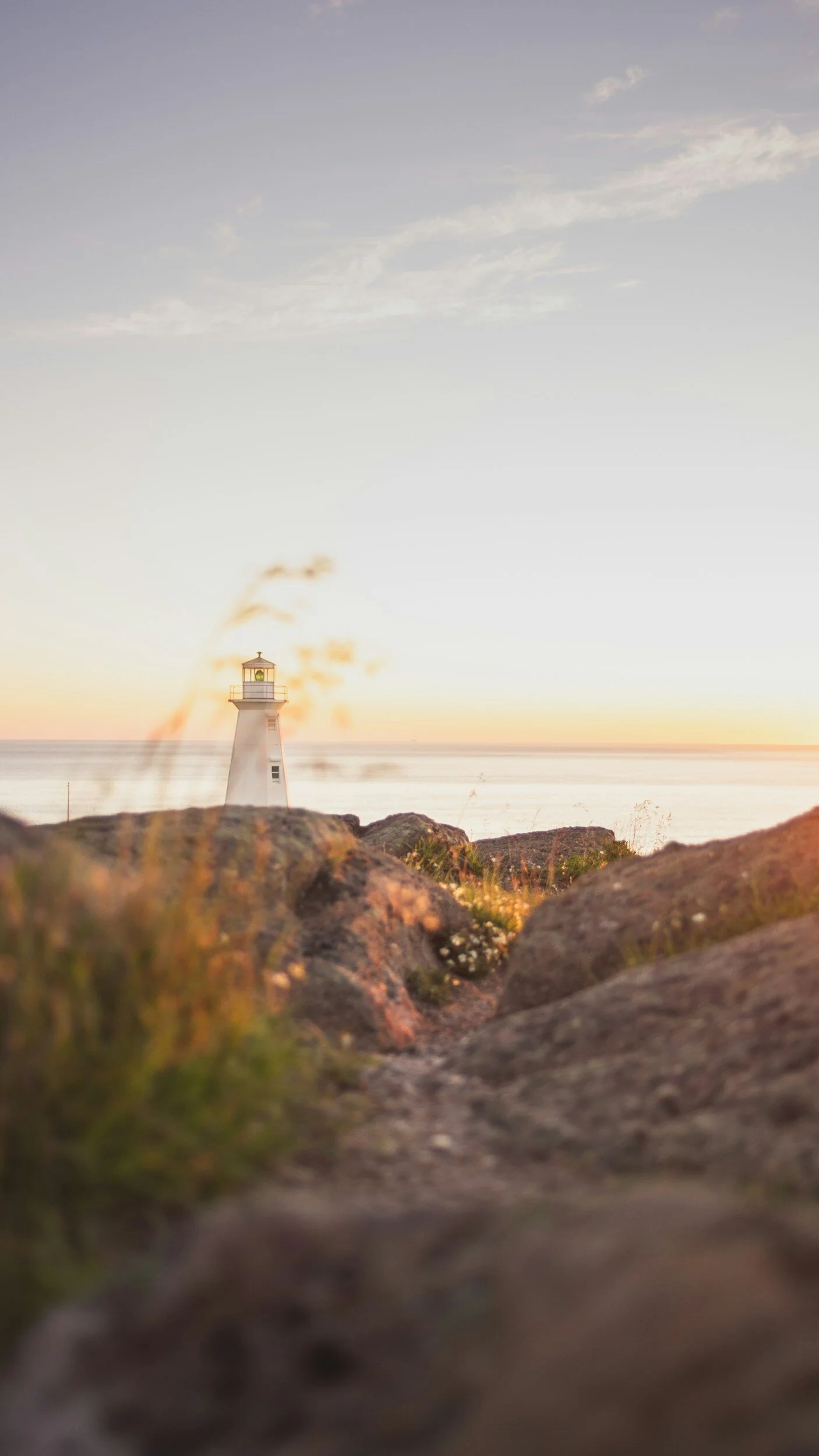 Who is LUNE — LUNE Cape Cod