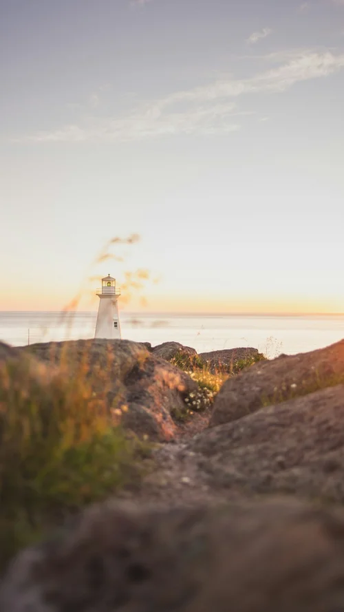 Who is LUNE — LUNE Cape Cod