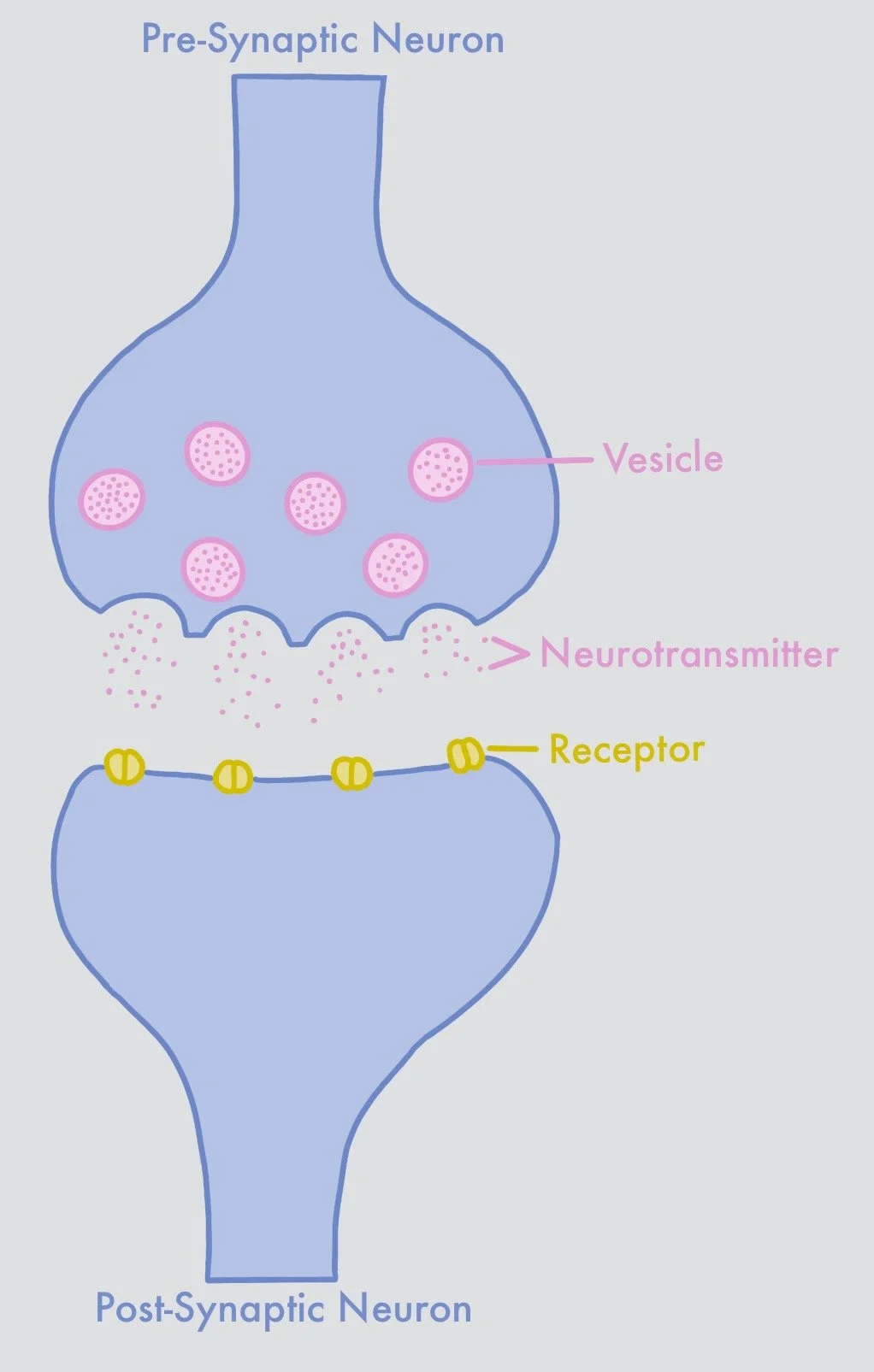 Neurotransmitters (9-12) — Project Synapse