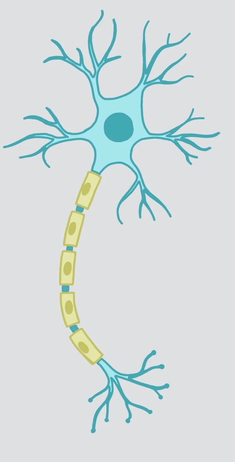 For Students — Project Synapse