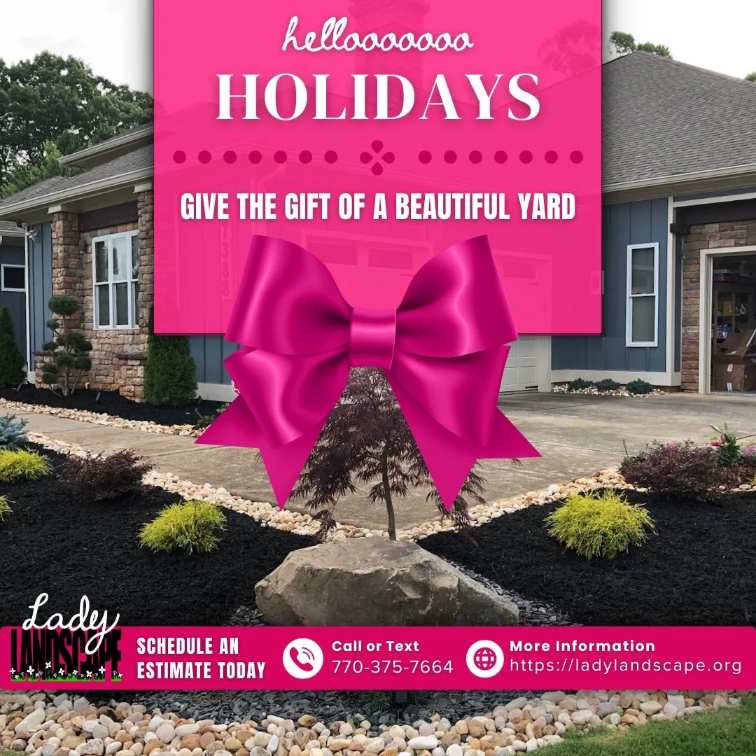 Services — Lady Landscape