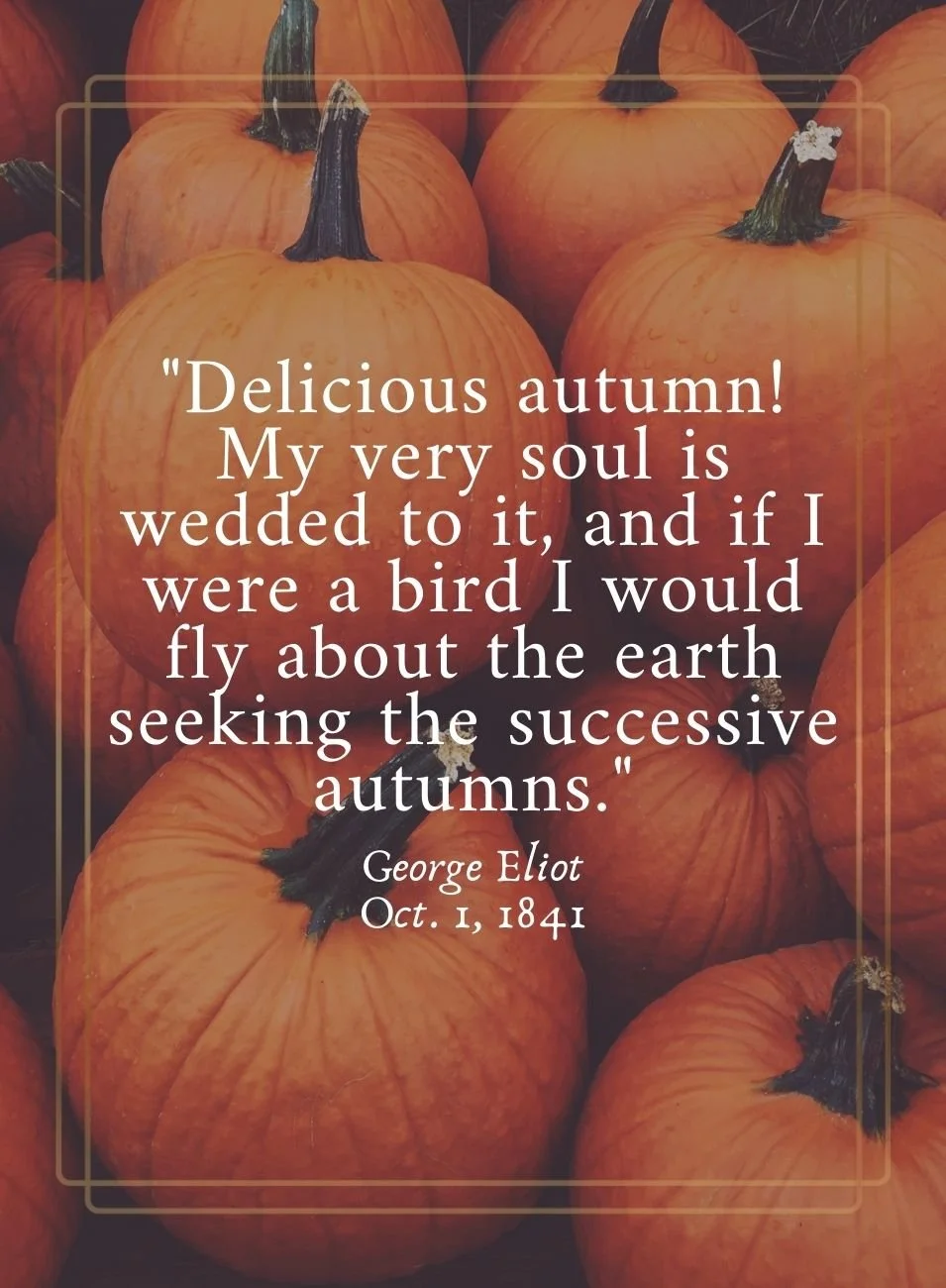 10 Literary Quotes About Autumn — Shine Daily