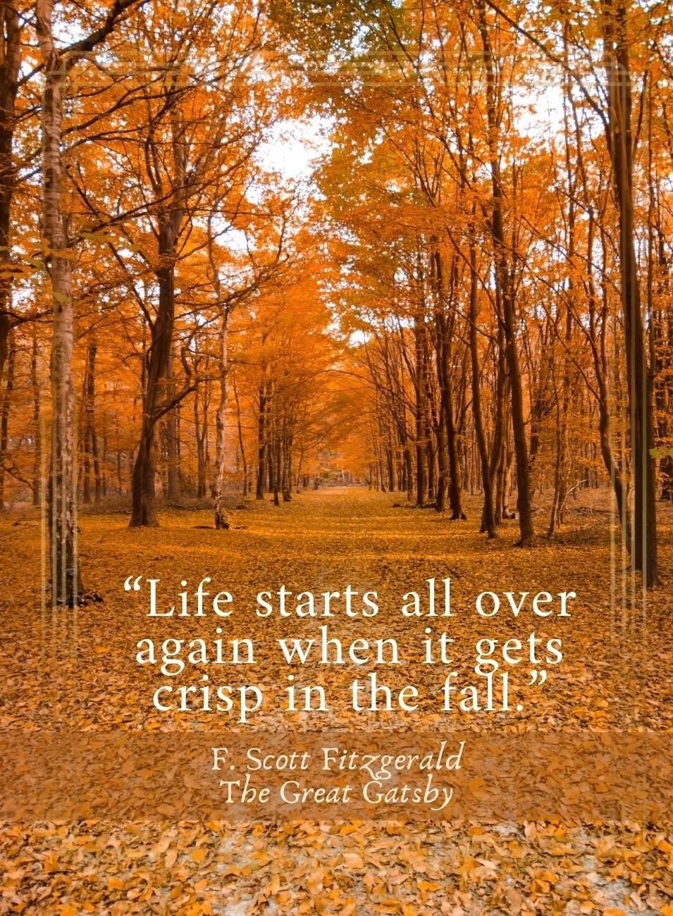 10 Literary Quotes About Autumn — Shine Daily