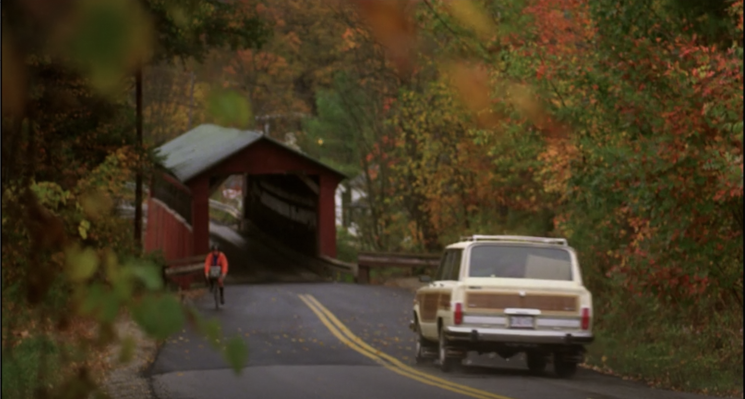 Movies with the Best Cozy Fall Vibes — Shine Daily