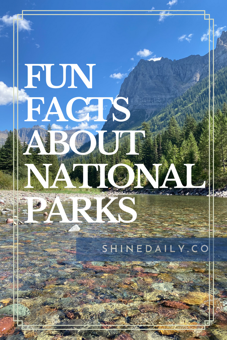 9 Fun Facts About U.S. National Parks — Shine Daily