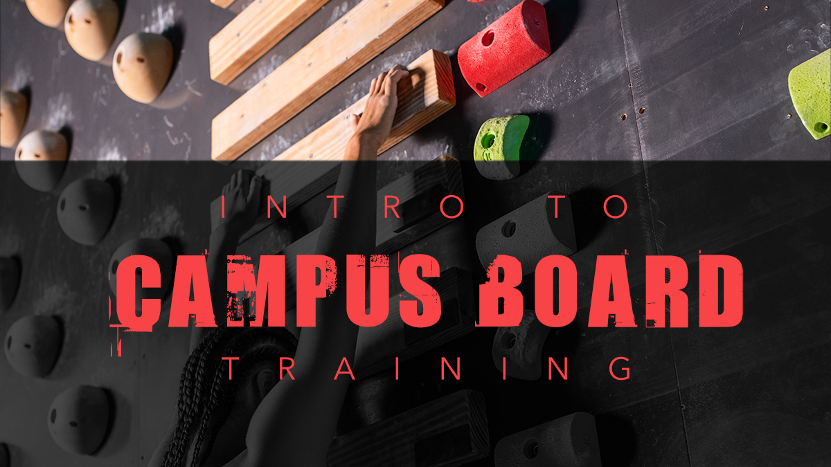 Blog — Ape Index Climbing Gym