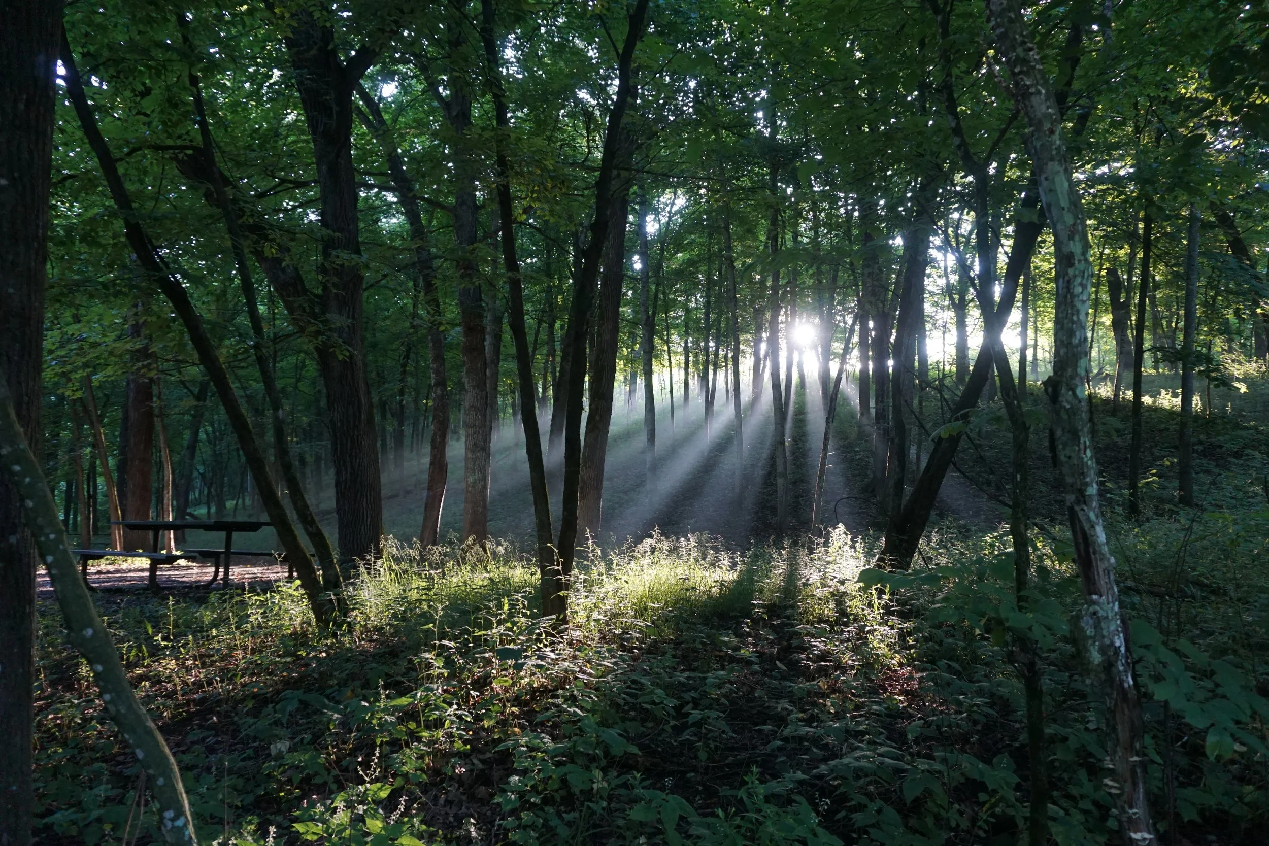About the Trail — MN Driftless Hiking Trail