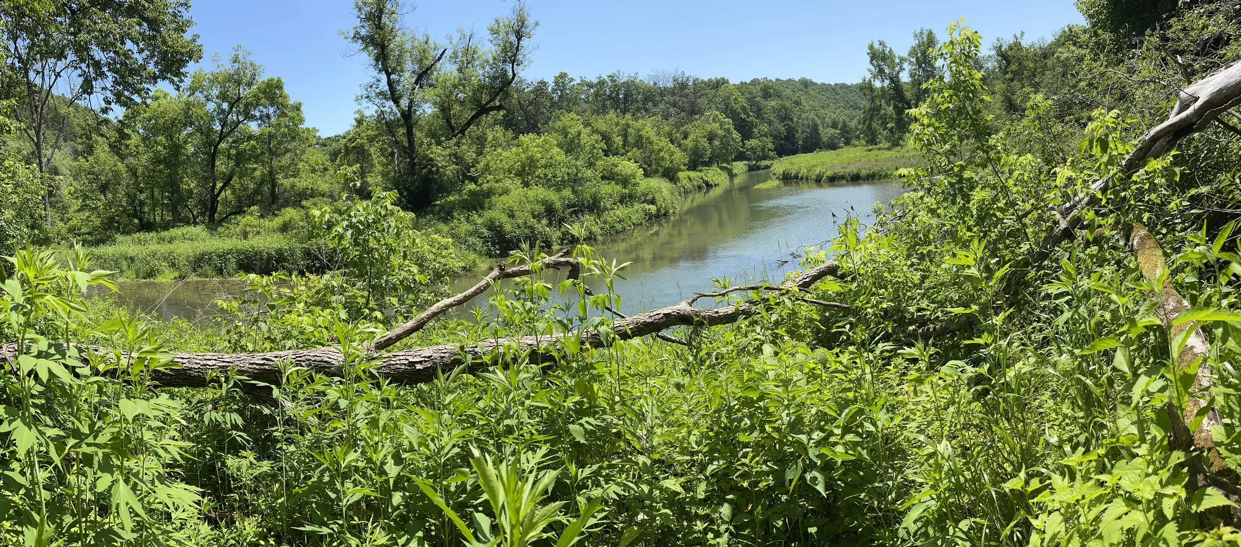 MN Driftless Hiking Trail