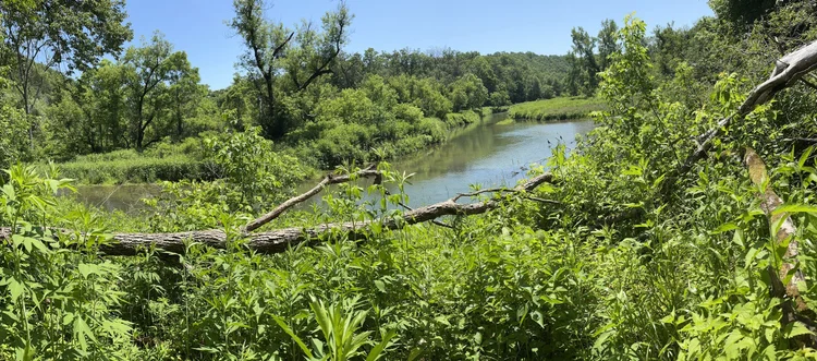 MN Driftless Hiking Trail