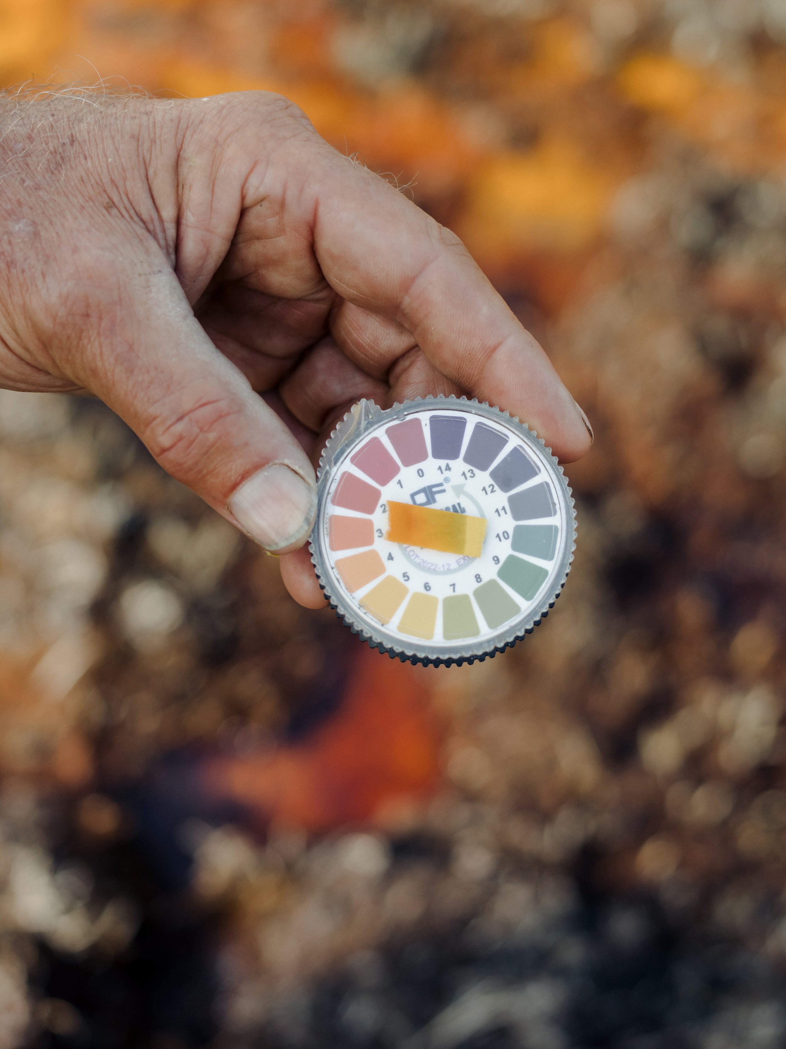 Alaska's Rusting Rivers for Scientific American — Taylor Roades