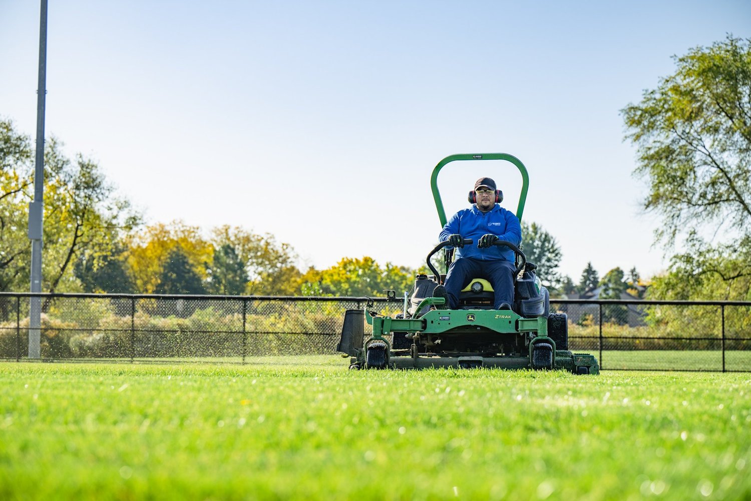 Tall Fescue — JacklinSeed