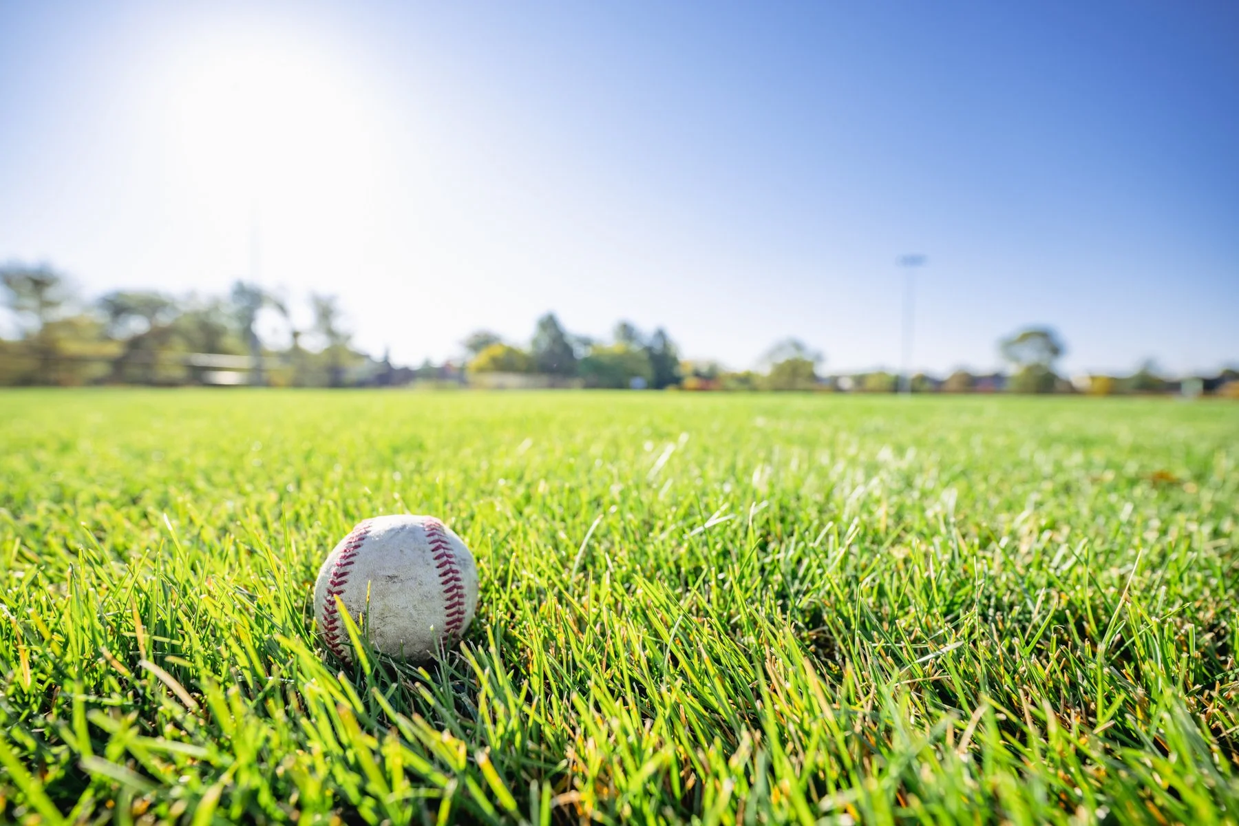 Tall Fescue — JacklinSeed