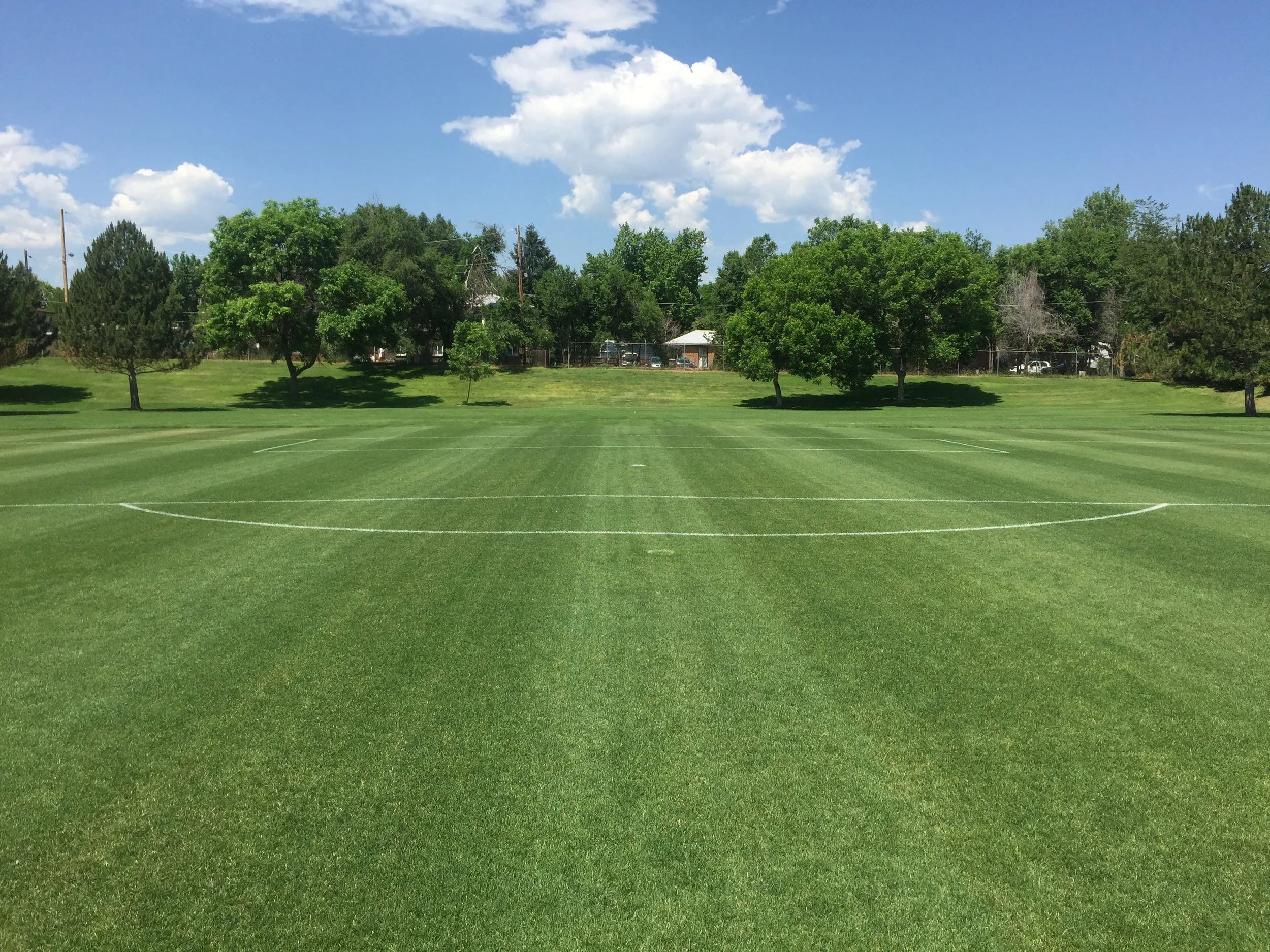 Blends & Mixes — JacklinSeed