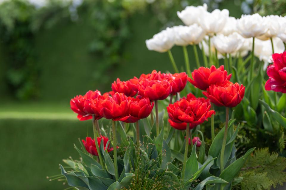 Oregon City High School
