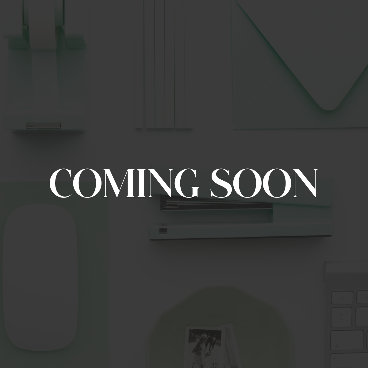 Entrepreneurs — TwentyThree, LLC