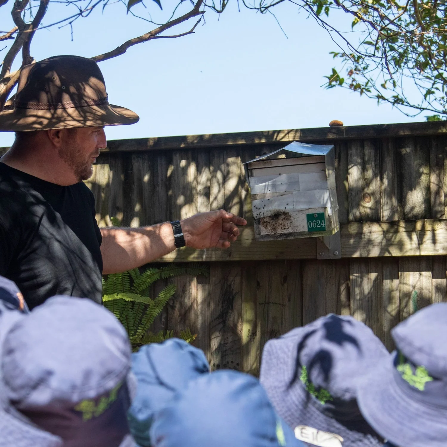 The Australian Native Bee Company