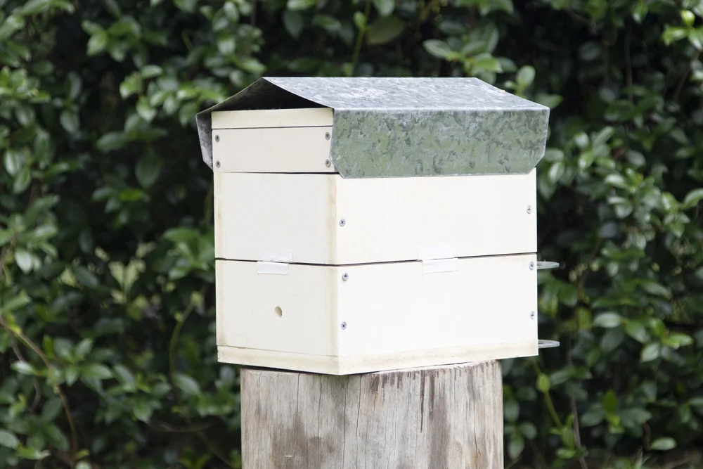 Native bee keeping products and services — The Australian Native Bee Co