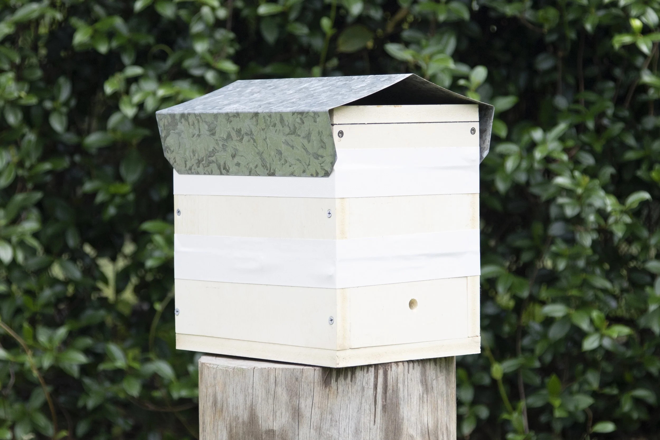 Native bee keeping products and services — The Australian Native Bee Co