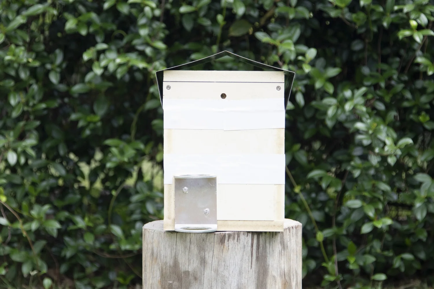 Why Composite Boxes? — The Australian Native Bee Co