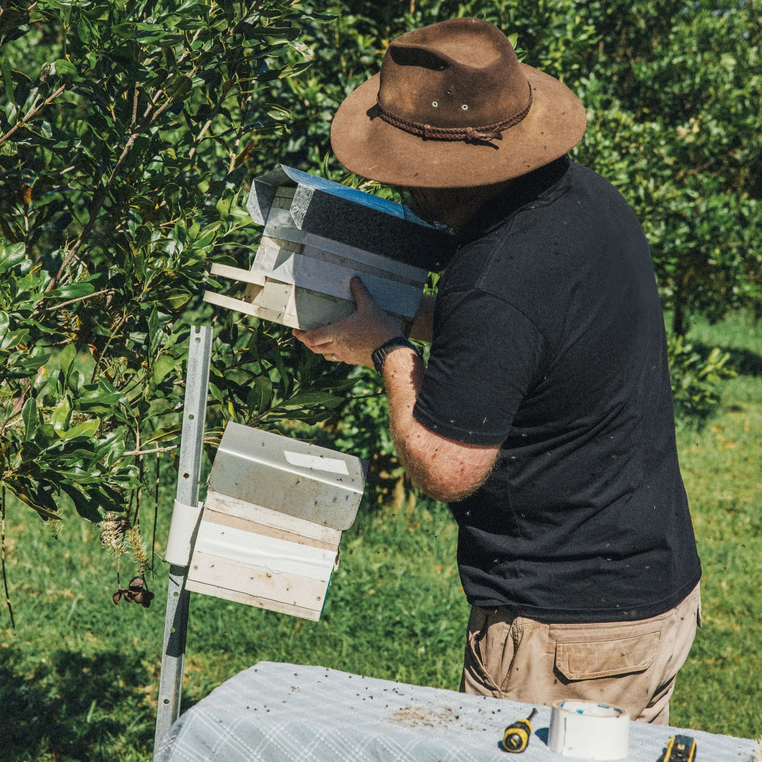 Getting started - Australian Native Bee Keeping — The Australian Native ...