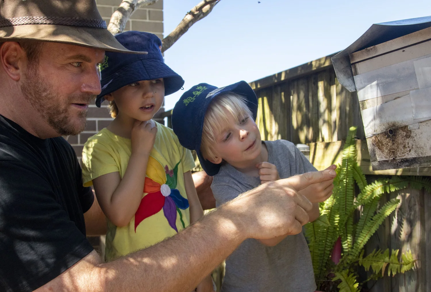 The Australian Native Bee Company